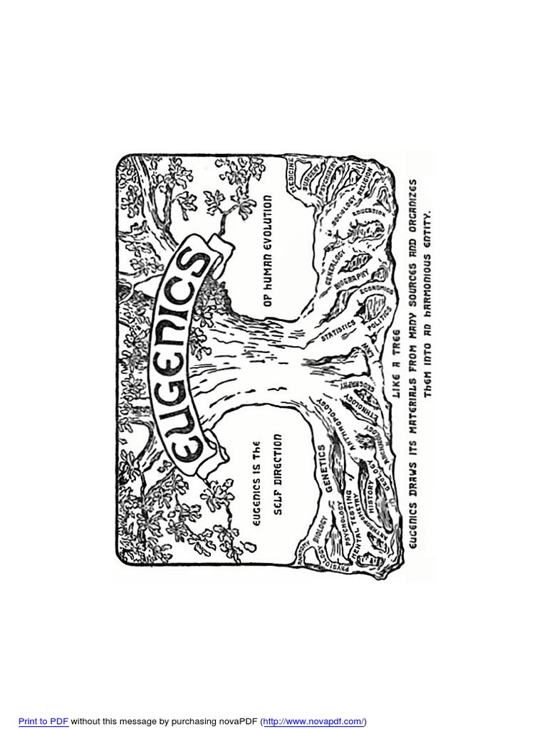 Despatch Magazine Vol. 22:3. Nov., 2010 (Updated & Re-Issued - 2013 ...