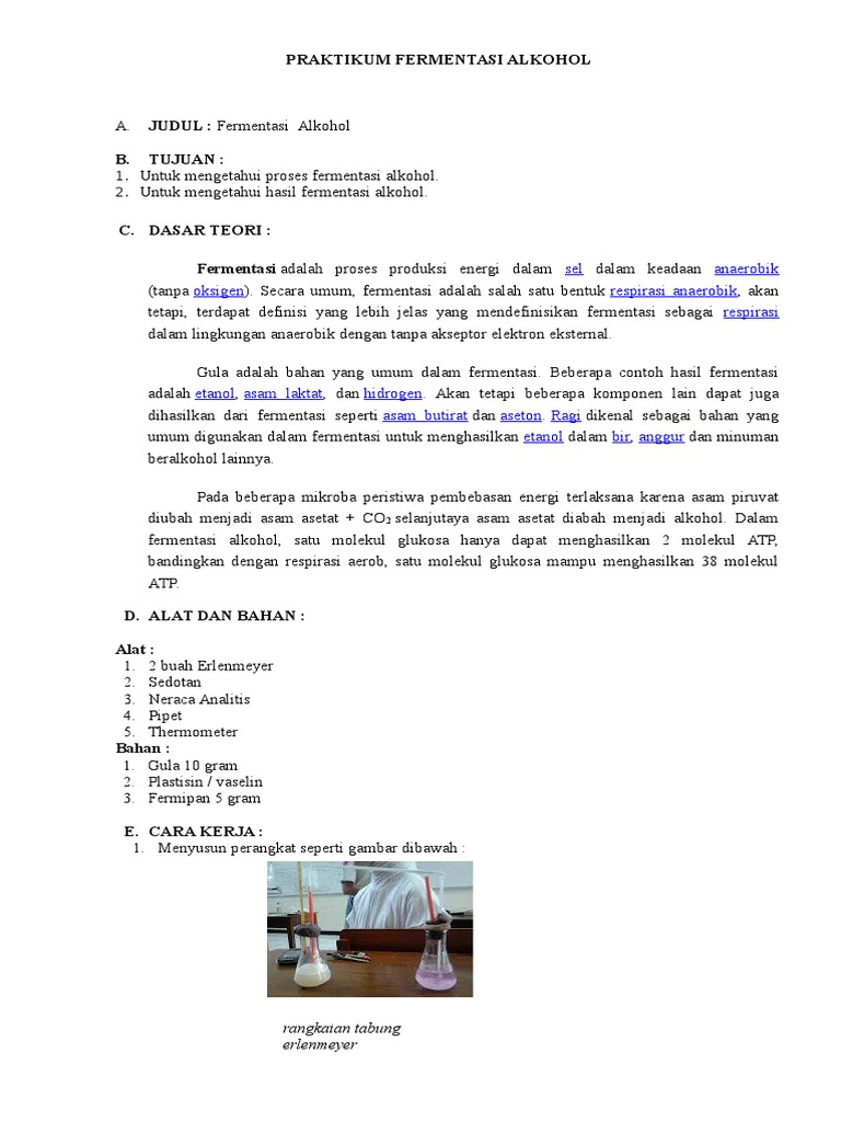 Praktikum Fermentasi Alkohol | PDF