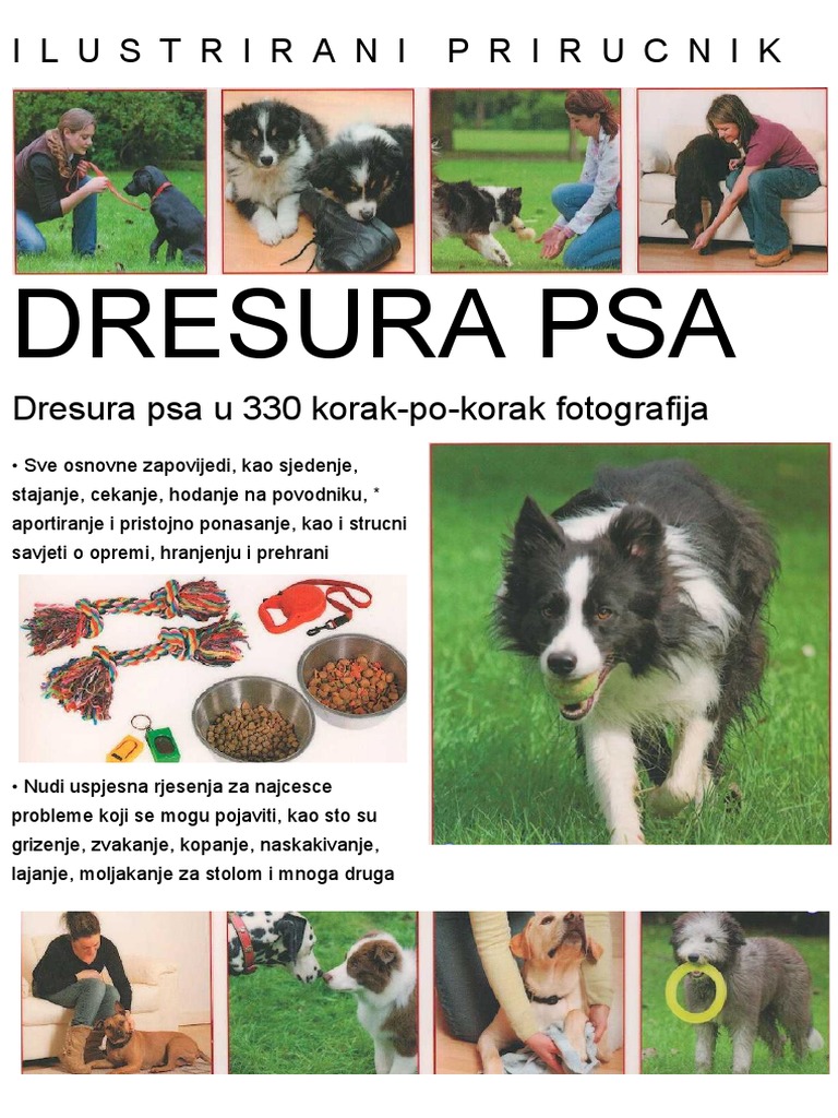 Dresura Psa - Patsy Parry | PDF