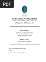 Contoh IDP PNS | PDF