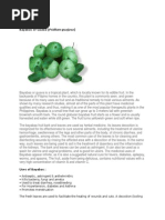 LSU-Ag Planting Guide | PDF | Vegetables | Fertilizer