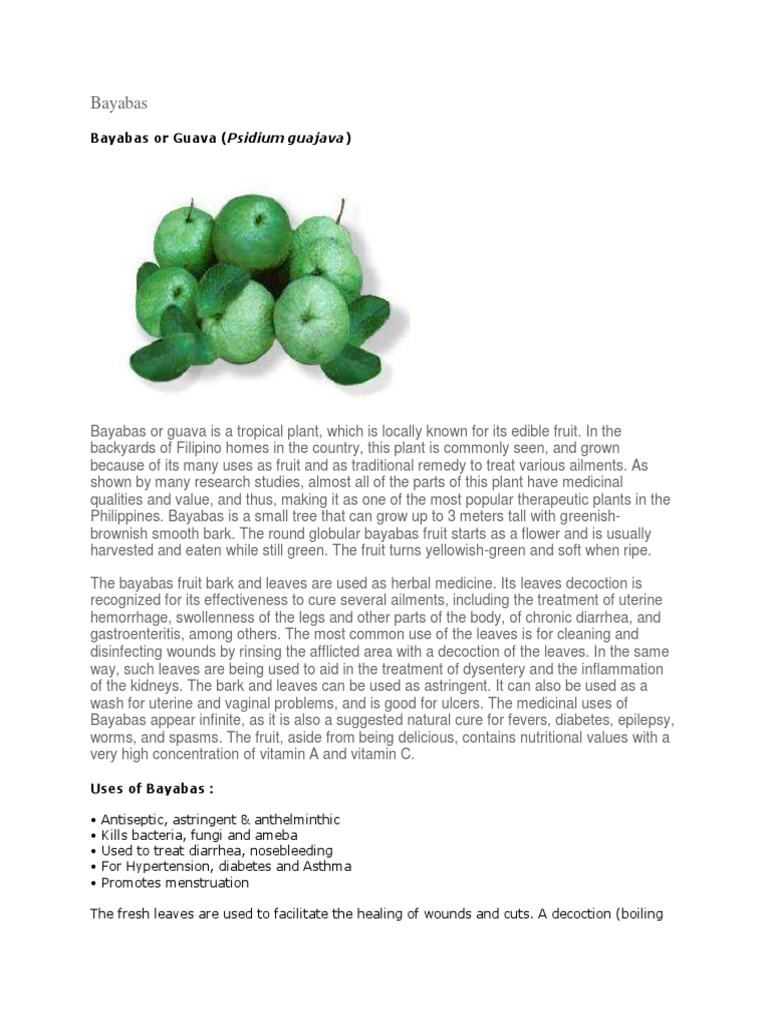 Bayabas: Bayabas or Guava (Psidium Guajava) | PDF | Carrot | Ginger