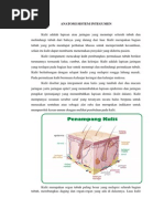 Anatomi Kulit | PDF