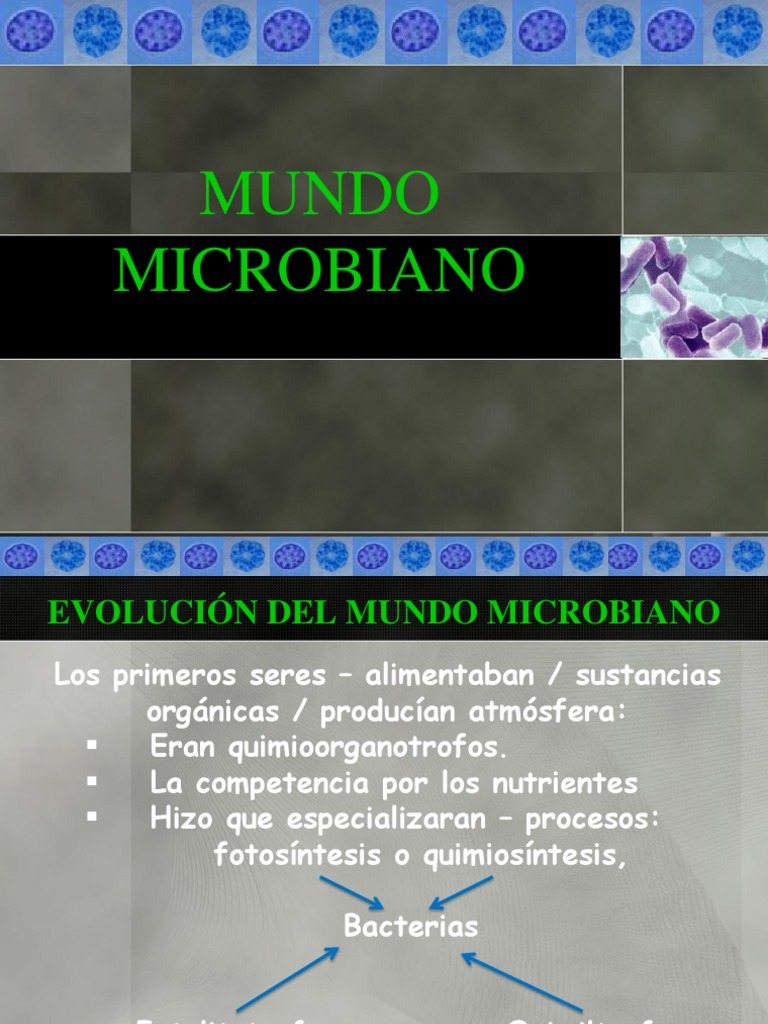 Mundo Microbiano Clase 2 | PDF | Archaea | Las bacterias