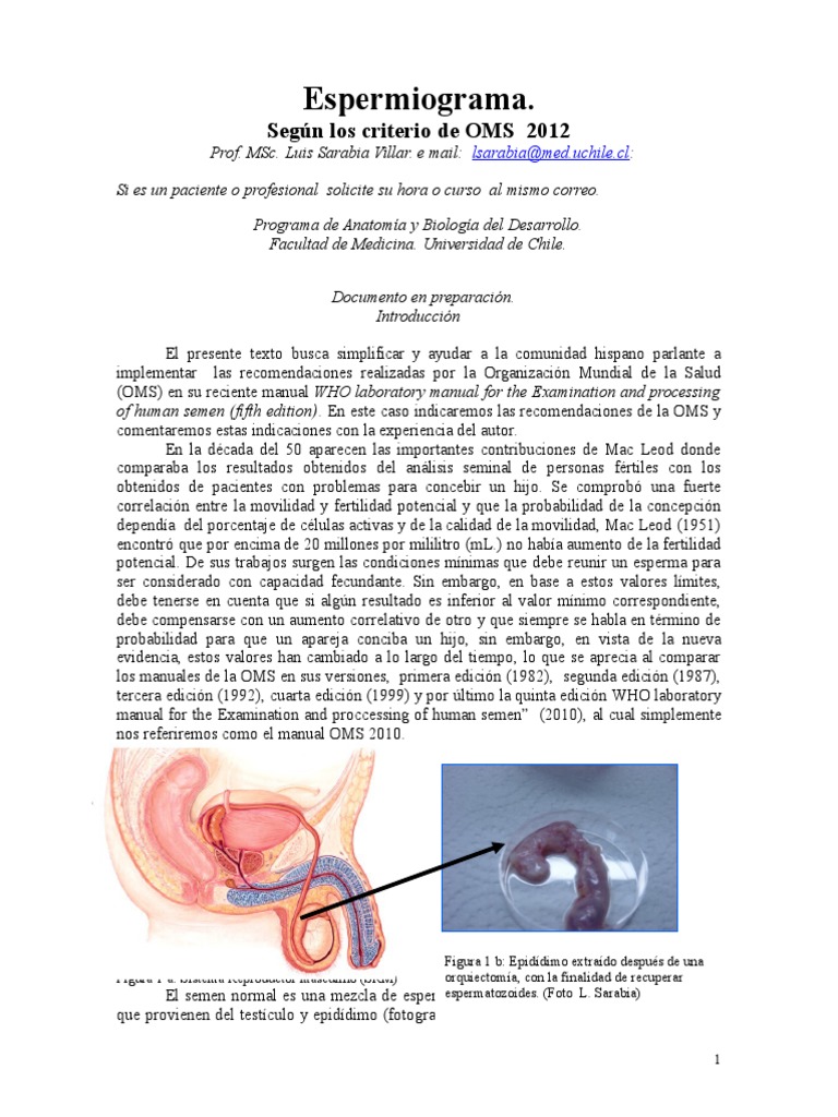 Espermiograma Oms 5ª Edicion | Semen | Condón