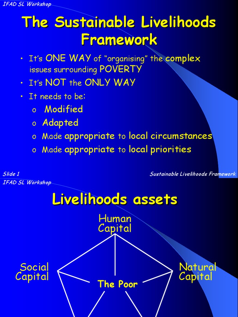 SL Framework | PDF | Financial Capital | Sustainability