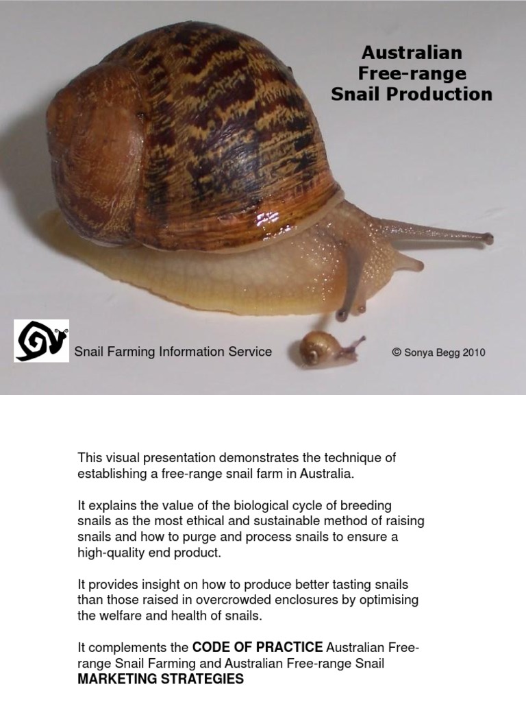 Australian Free-Range Snail Production PDF | PDF | Selective Breeding ...