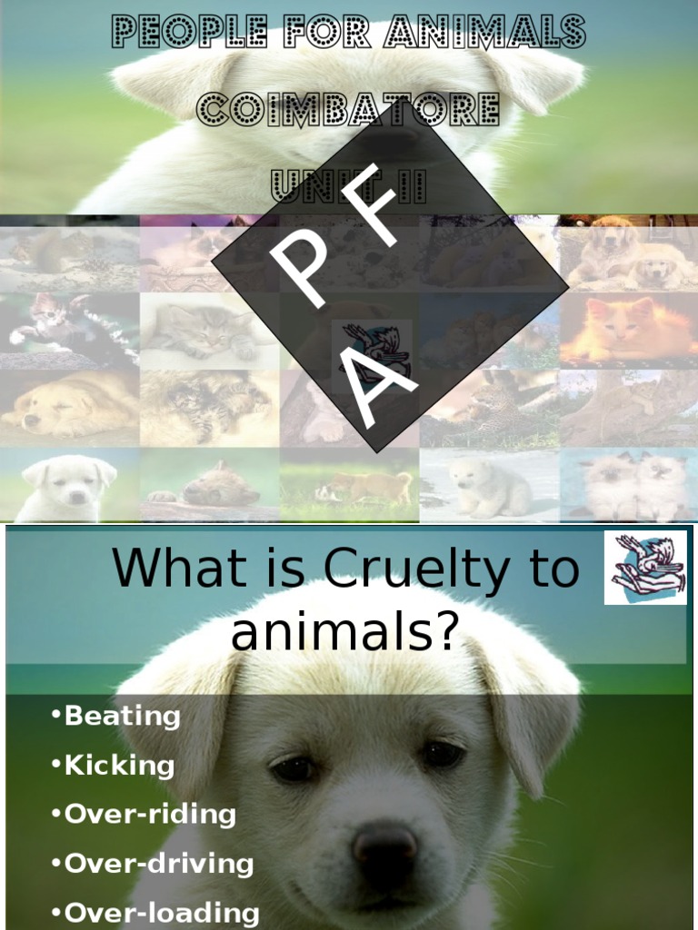 People For Animals - NGO - COMMUNICATION STRATEGY | PDF | Animal ...