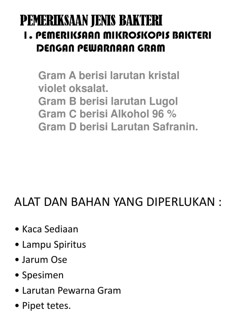 Pemeriksaan Jenis Bakteri | PDF