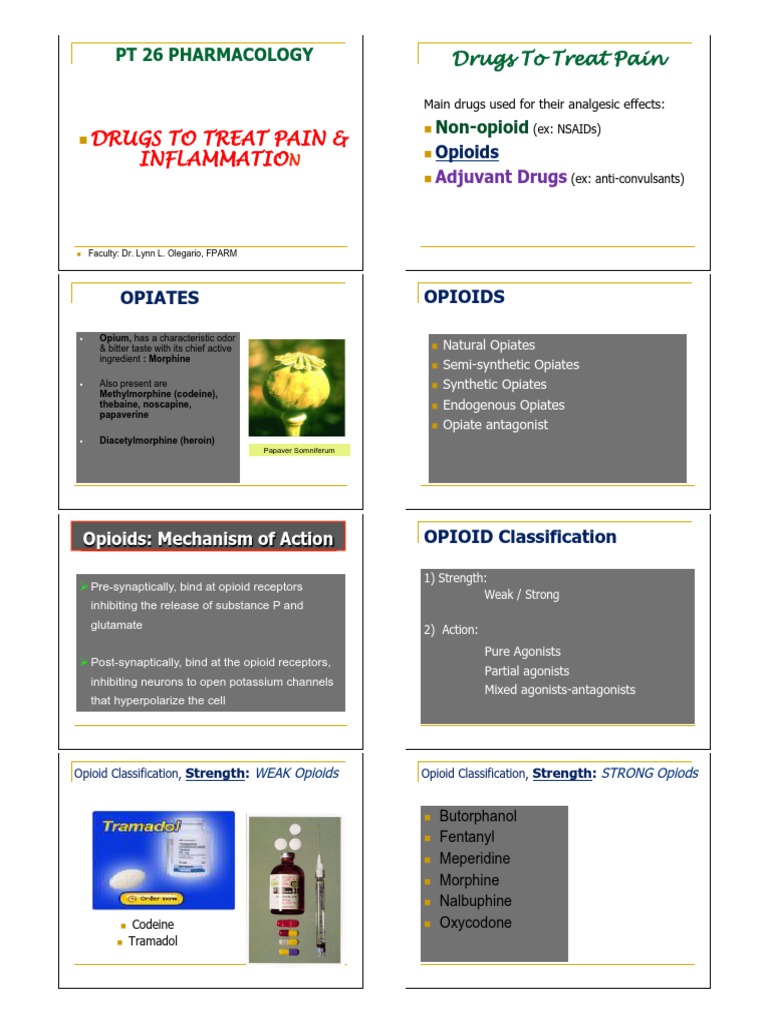 Opiods | PDF | Nonsteroidal Anti Inflammatory Drug | Opioid