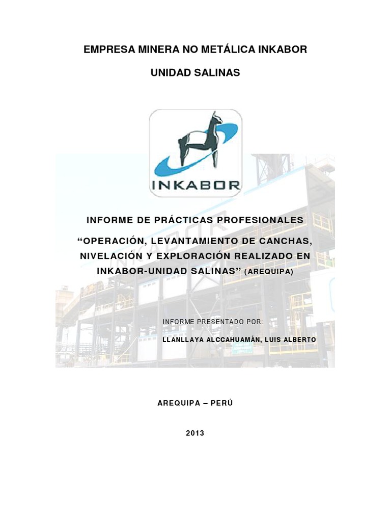 Informe de Practicas Inkabor | PDF