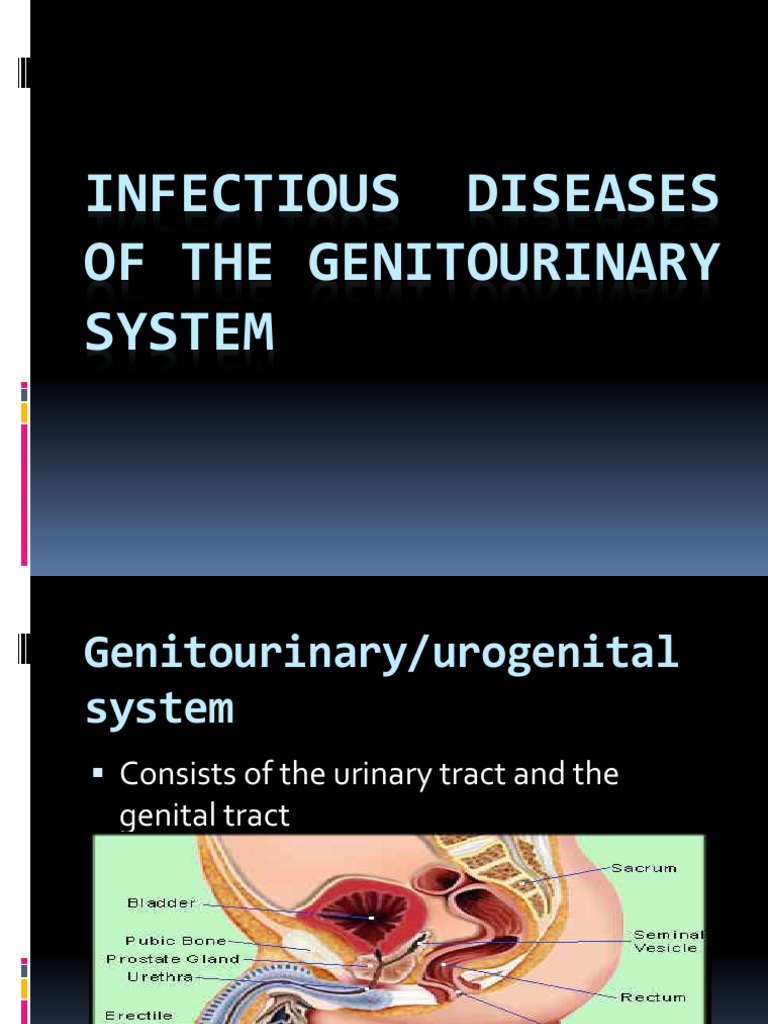Infectious Diseases of The Genitourinary System | PDF