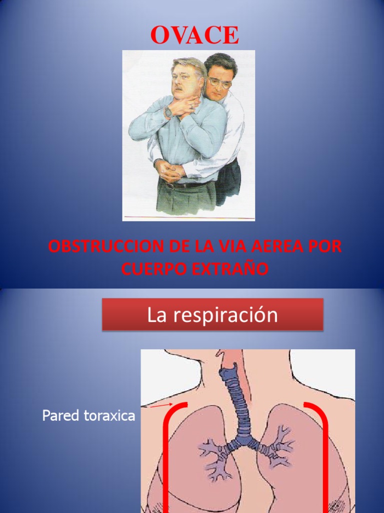 2 Ovace | PDF | Respiración | Sistema respiratorio