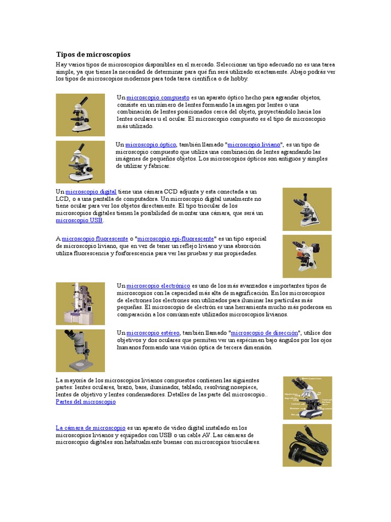 Tipos de Microscopios | PDF | Ciencia y matemáticas