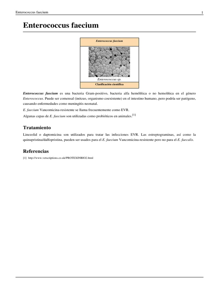 Enterococcus Faecium | PDF