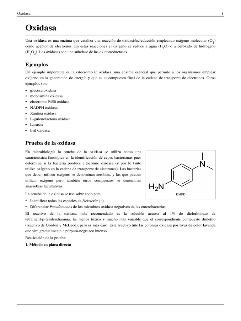 Oxidasa | Enzima | Biomoléculas
