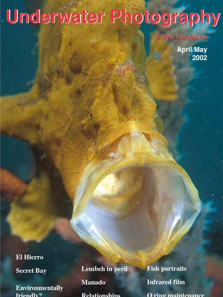 Underwater Photography Insights 2002 | PDF | Underwater Diving | Single ...