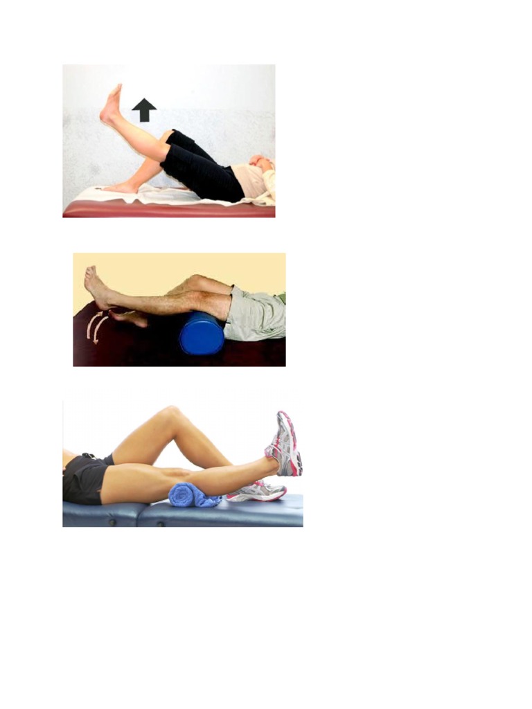 Knee Exercises | PDF | Musculoskeletal System | Knee