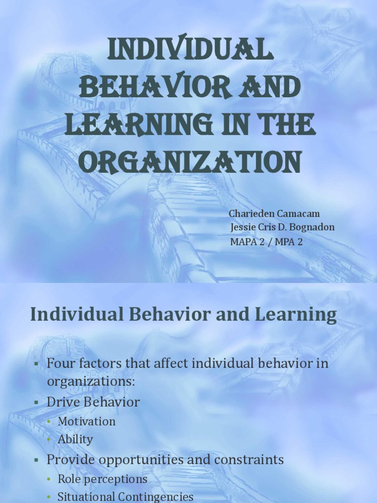 Individual Behavior and Learning Dynamics | PDF | Reinforcement ...