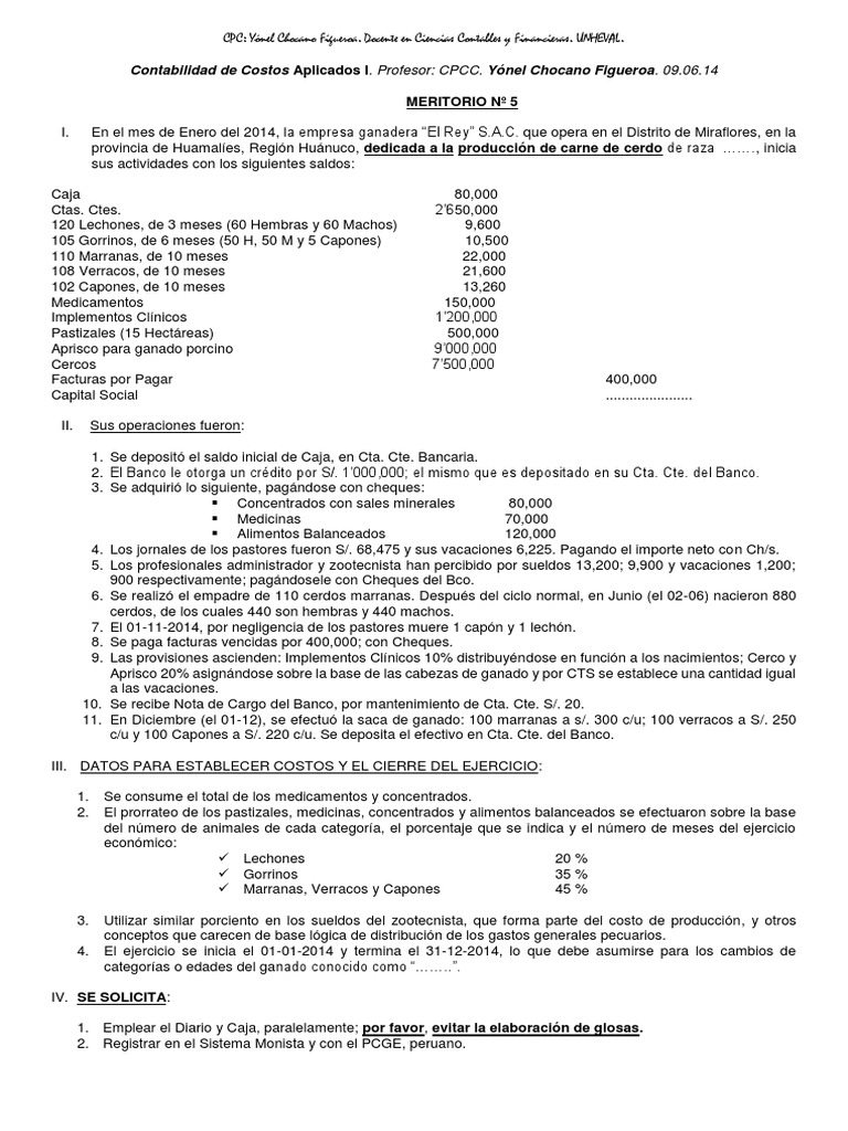 Meritorio #5 2014 CERDOS | PDF | Contabilidad | Maestros