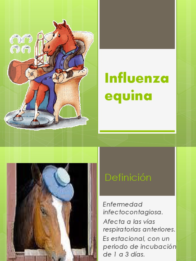 Influenza Equina | PDF | Influenza | Especialidades Medicas