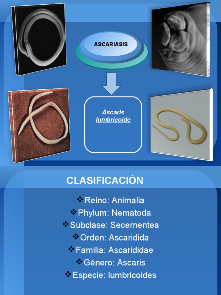 ASCARIASIS | PDF | Especialidades Medicas | Enfermedades y trastornos