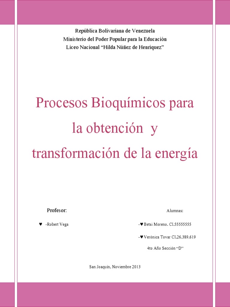 Procesos Bioquímicos para La Obtención y Transformación de La Energía ...