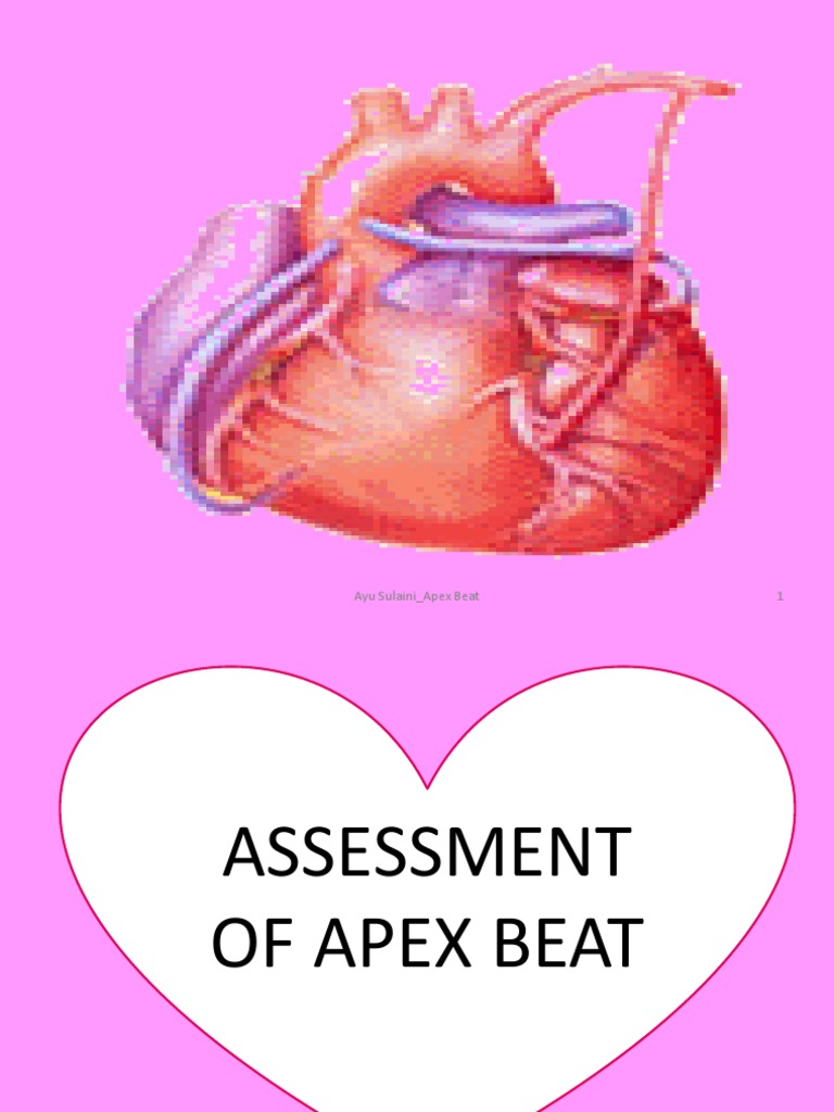 apex beat | Heart Rate | Heart