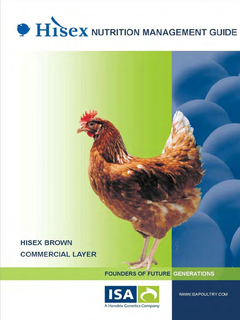 Hisex Brown Layer Nutrition Guide | PDF | Nutrition | Diet & Nutrition