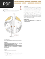 Hemorrhoids Anatomy and Physiology | PDF | Hemorrhoid | Rectum