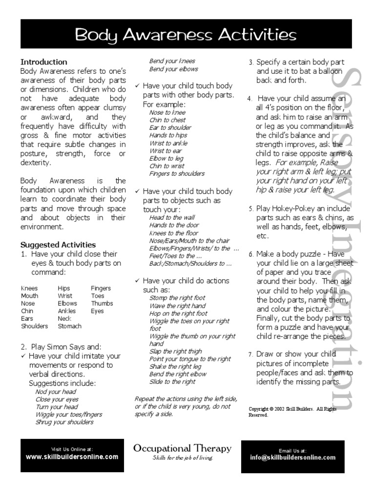 Body Awareness Activities | PDF | Human Anatomy | Sports