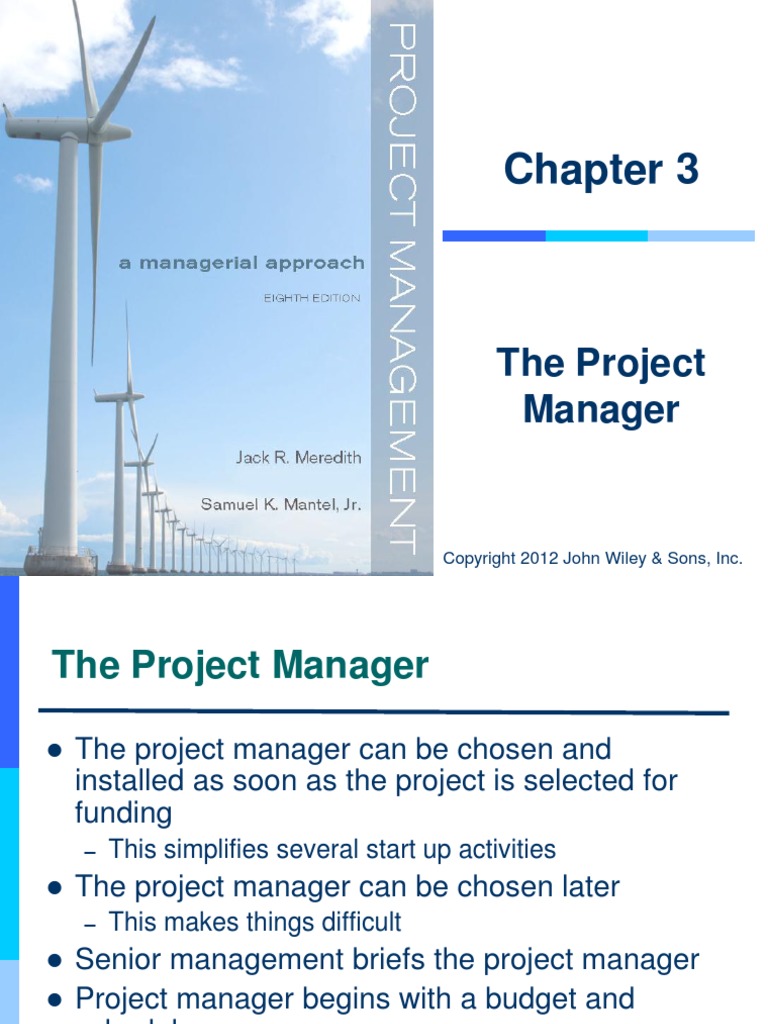 CH 03 | PDF | Project Manager | Leadership
