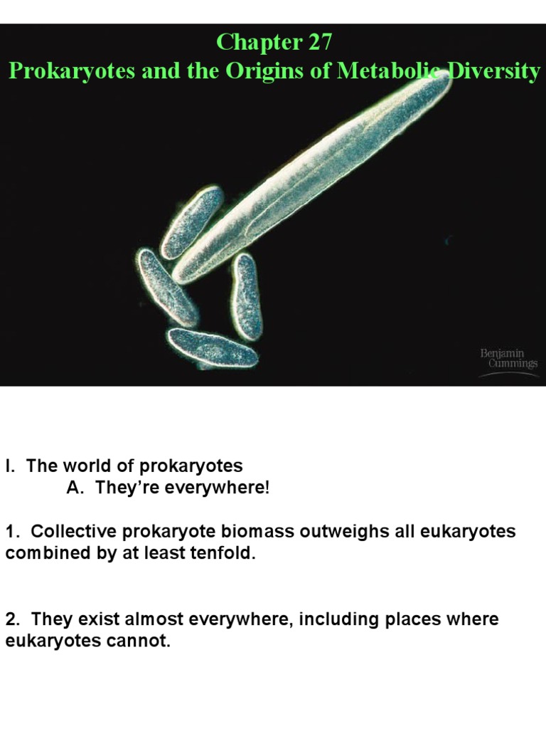 Prokaryotes: Origins and Metabolic Diversity | PDF
