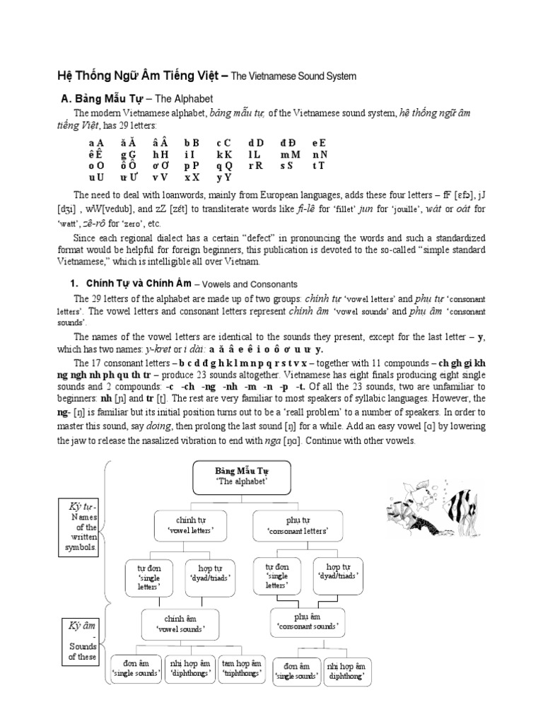 The Vietnamese Sound System | PDF | Tone (Linguistics) | Vietnamese ...