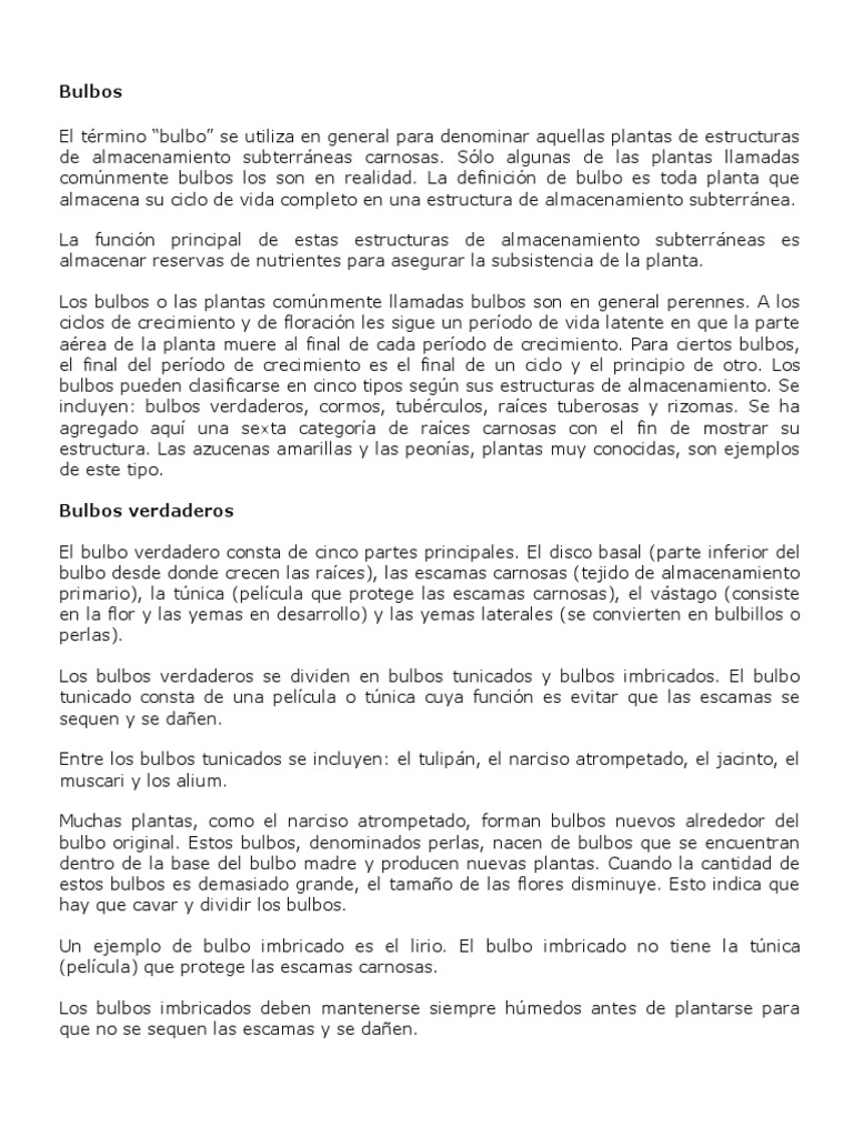 Bulbos | PDF | Bulbo | Raíz
