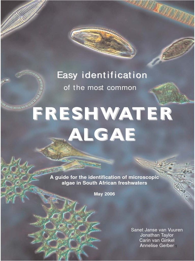 Freshwater Zooplankton Identification Guide