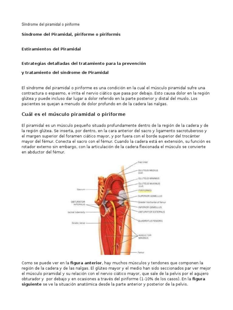 Síndrome Del Piramidal o Piriforme | PDF | Dolor lumbar | Tobillo