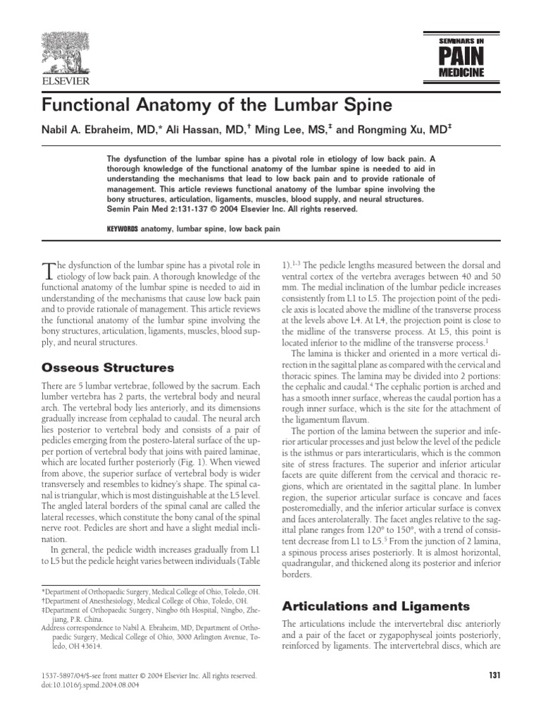 Functional Anatomy of The Lumbar Spine | PDF | Vertebral Column | Vertebra