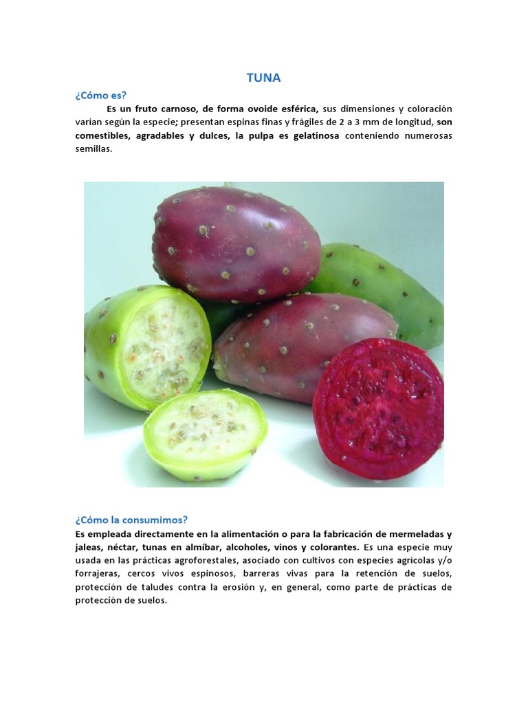 Tuna | PDF