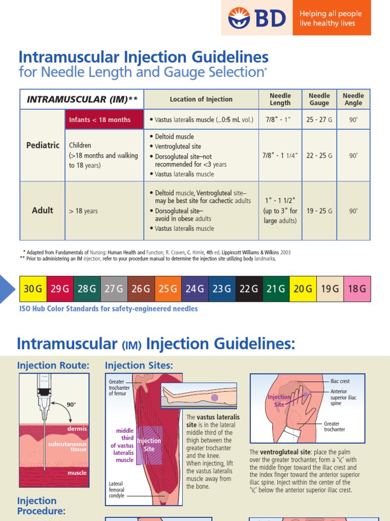 Intramuscular Injection Guidelines | Injection (Medicine) | Pelvis