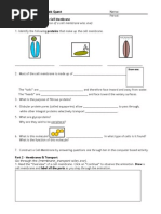 Term 3 Life Science Remote Learning Booklet | PDF | Leaf | Mitosis