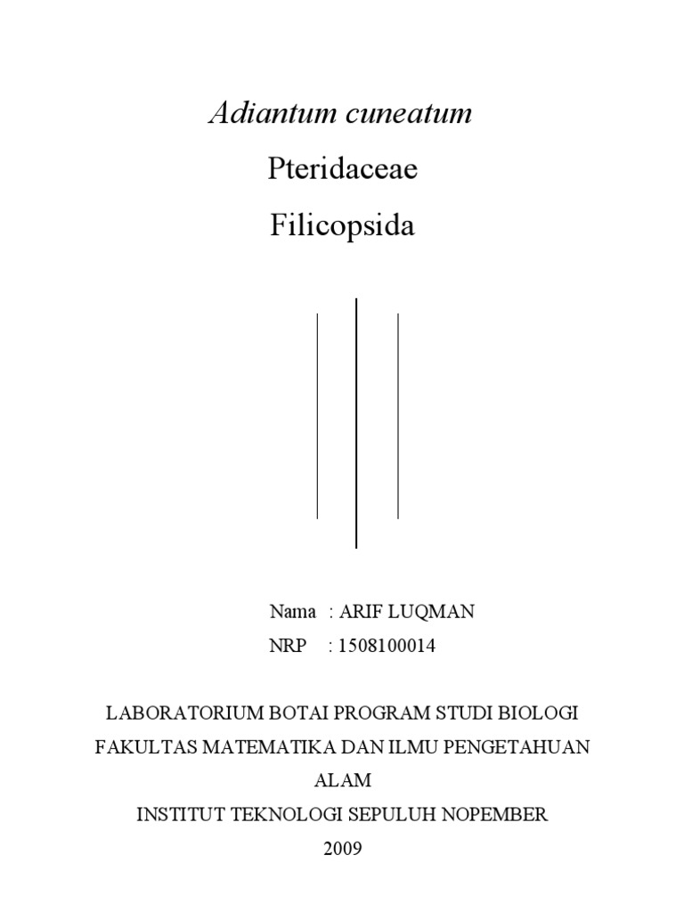 Adiantum Cuneatum | PDF