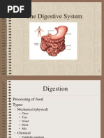 Blank 4 Panel Comic Strip | PDF | Biology | Digestive System