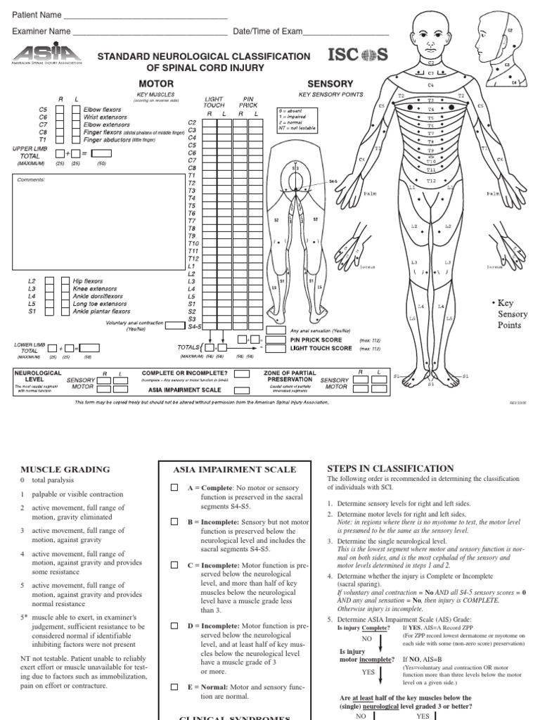 ASIA Worksheet | Spinal Cord | Nervous System