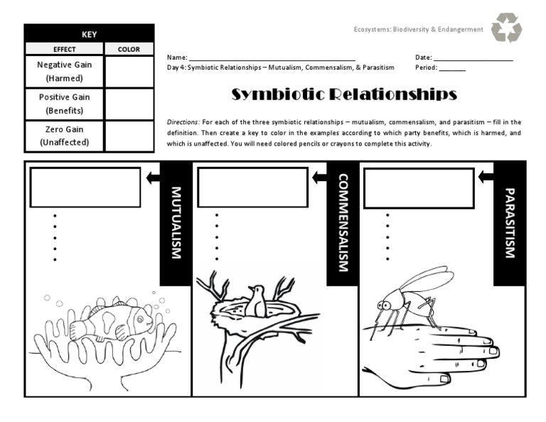 Directed Study - Day 4 - Symbiotic Relationship Coloring Sheet | PDF ...