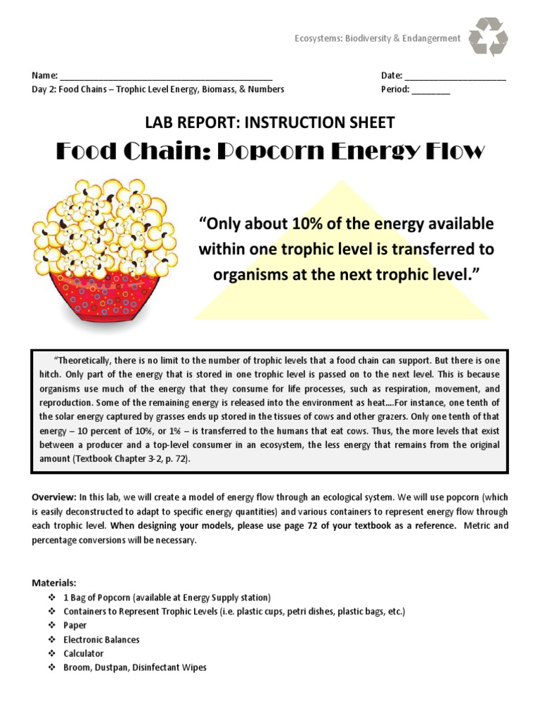 Popcorn Energy Flow Lab Activity | PDF | Food Web | Ecosystem