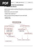 Shema Obmocij LPP Junij 2019 | PDF