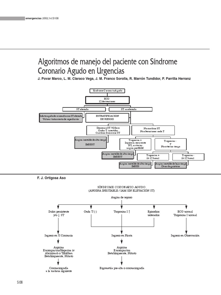 Algoritmo Manejo SCA | PDF
