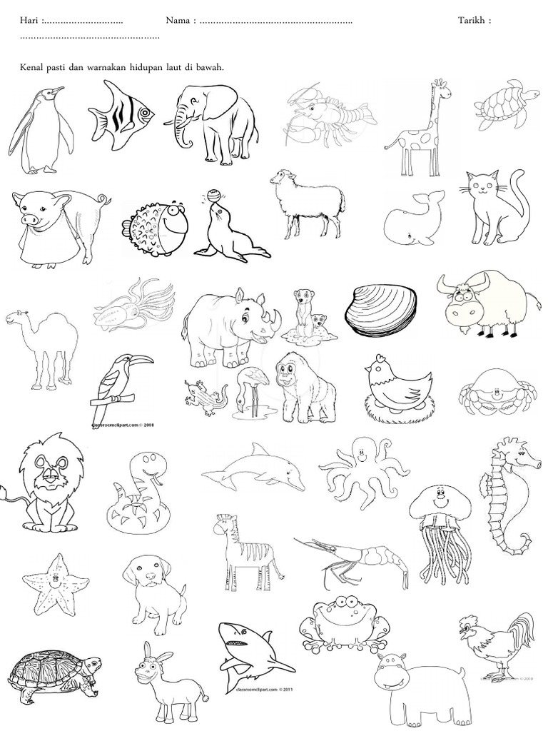 Sea Animals Worksheet | PDF