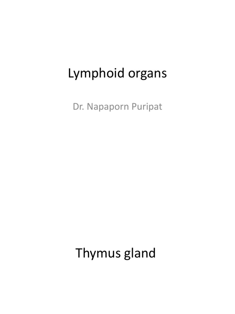 Overview of Lymphoid Organs and Functions | PDF | Wellness